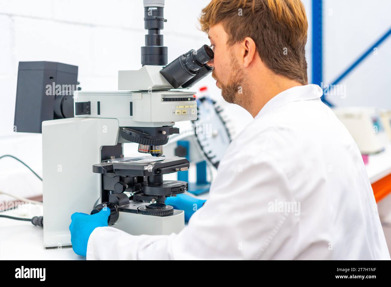 Rear view of a young scientist analyzing cells using a microscope in a ...