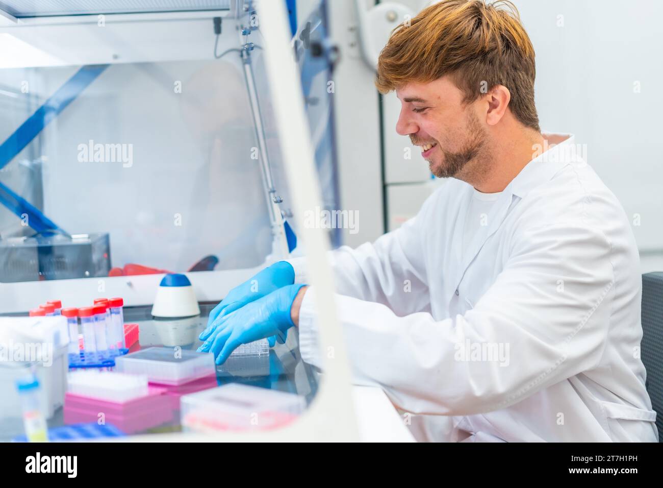 Young scientist working on cells in a cancer research and infectious ...