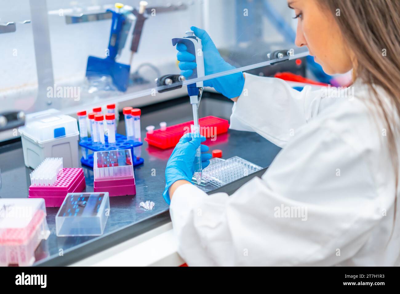 Rear view close-up of a female biologist pip petting cells in a ...