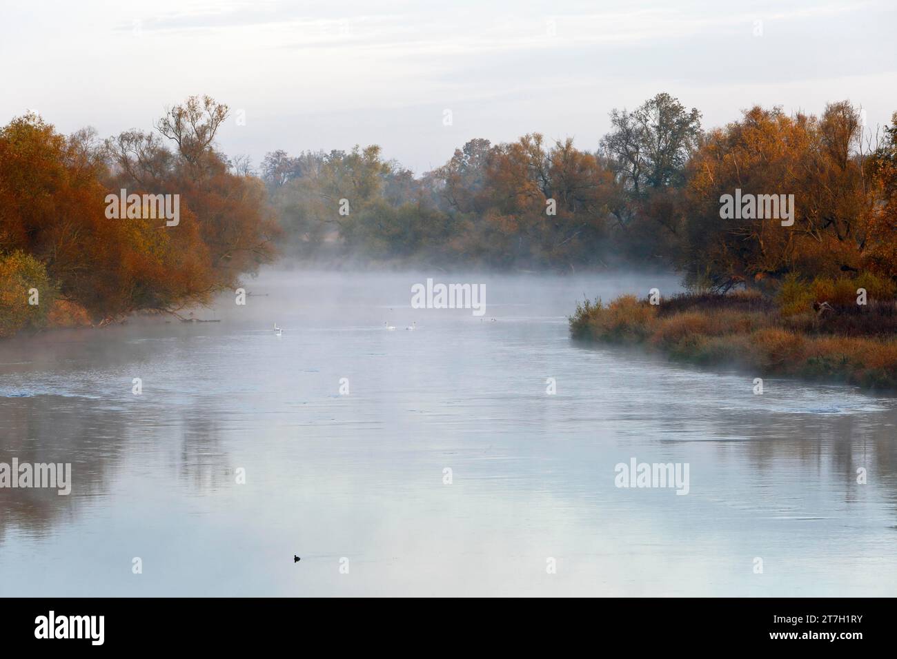 Autumn in the floodplain, view of the river Mulde from the Jagdbruecke ...
