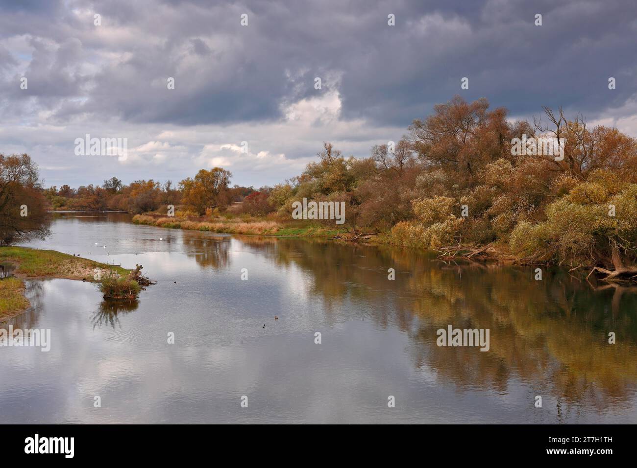 Autumn in the floodplain, view of the river Mulde from the Jagdbruecke ...