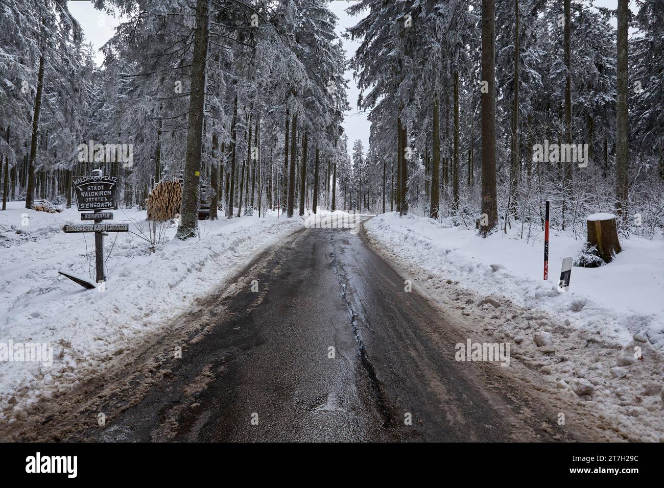 Winter road in the Black Forest to Kandel in Waldkirch, Emmendingen district, Baden-Wuerttemberg ...