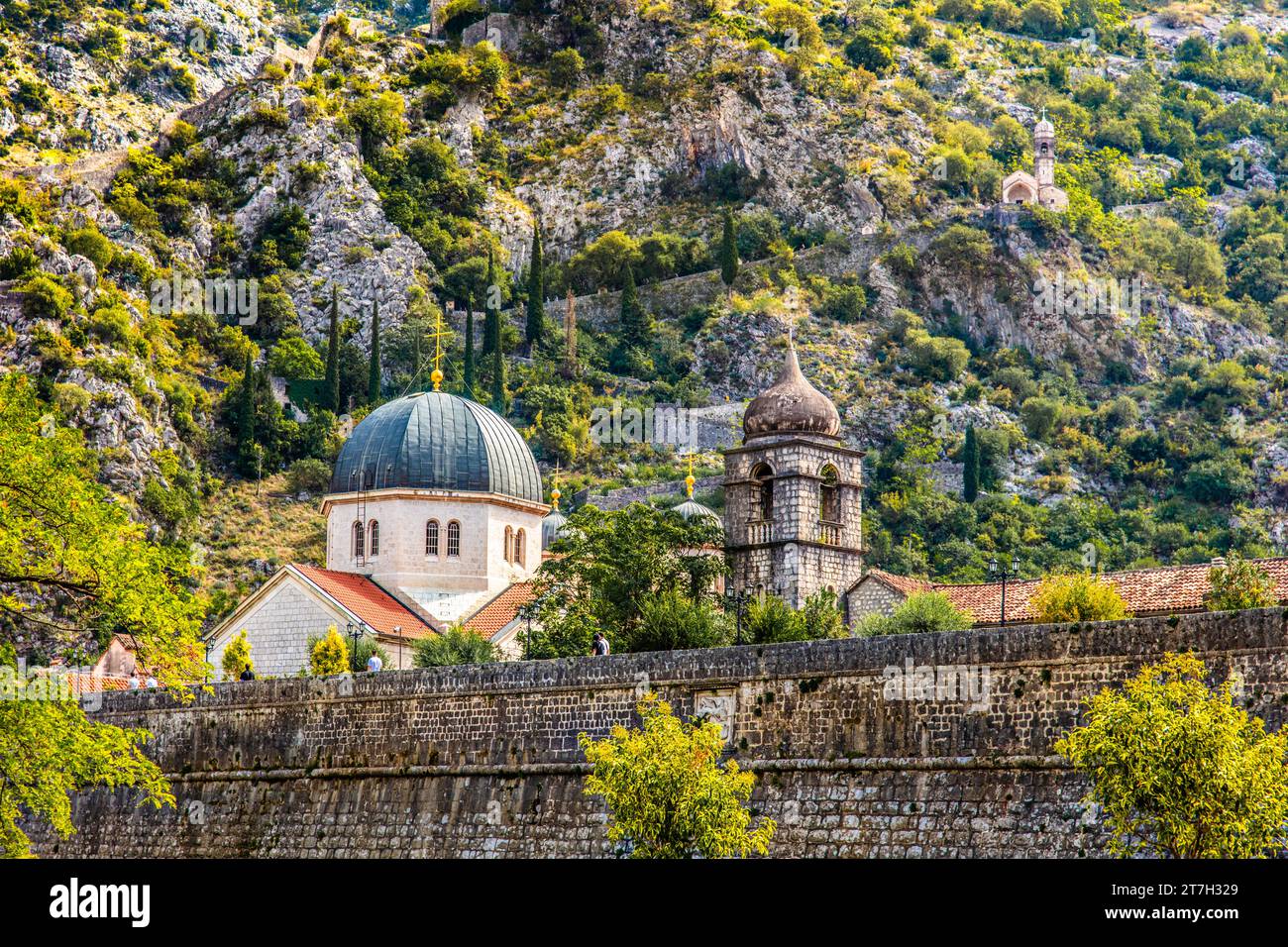 Fortress wall with St Nicholas Church, medieval town of Kotor with ...