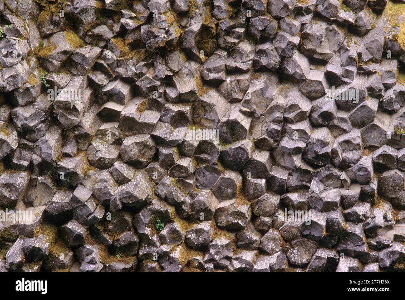Basalt columns on North Umpqua Trail near Tokatee Lake, Umpqua National ...