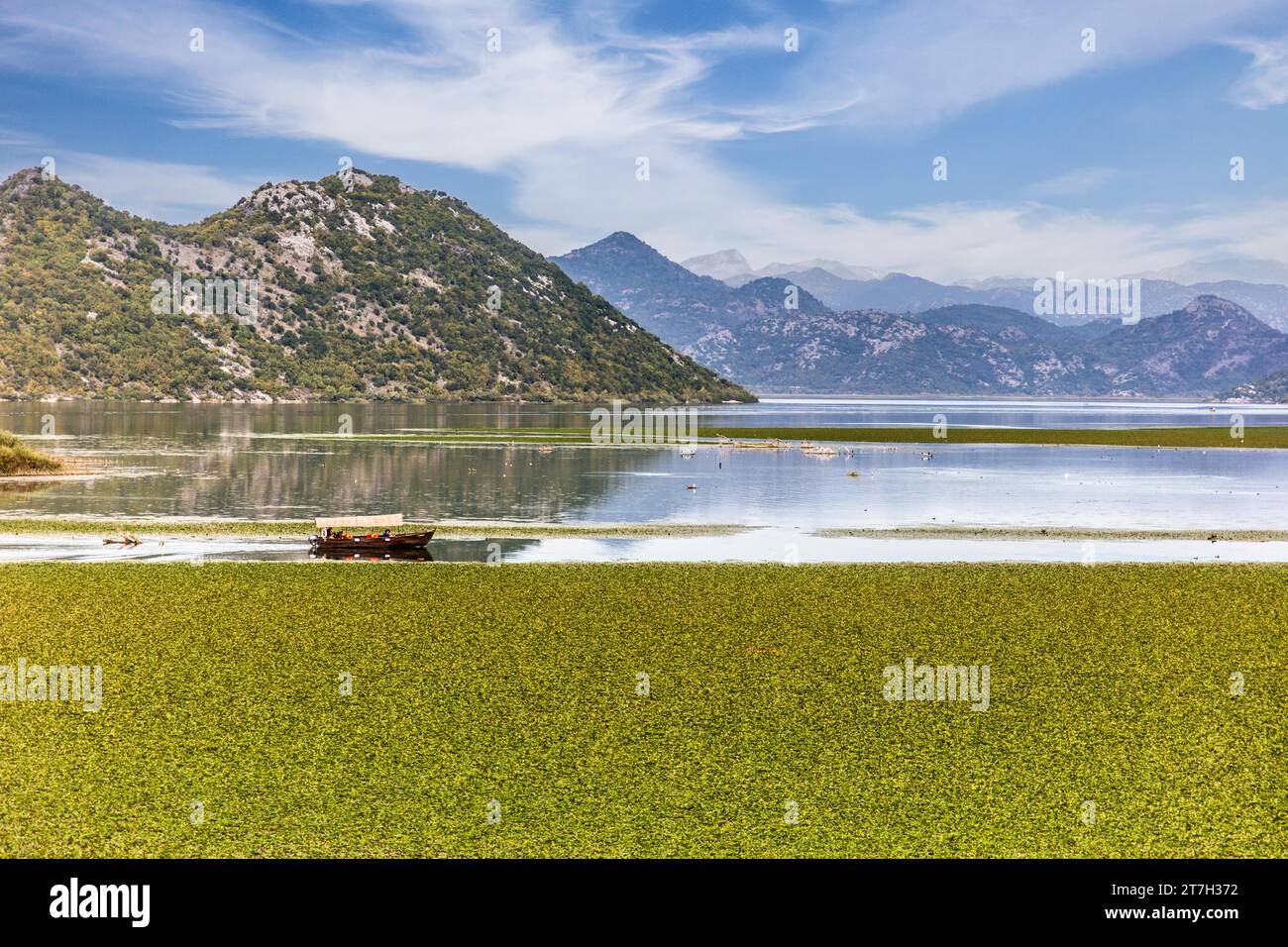 Natural paradise and national park Lake Scutari, the largest lake on ...