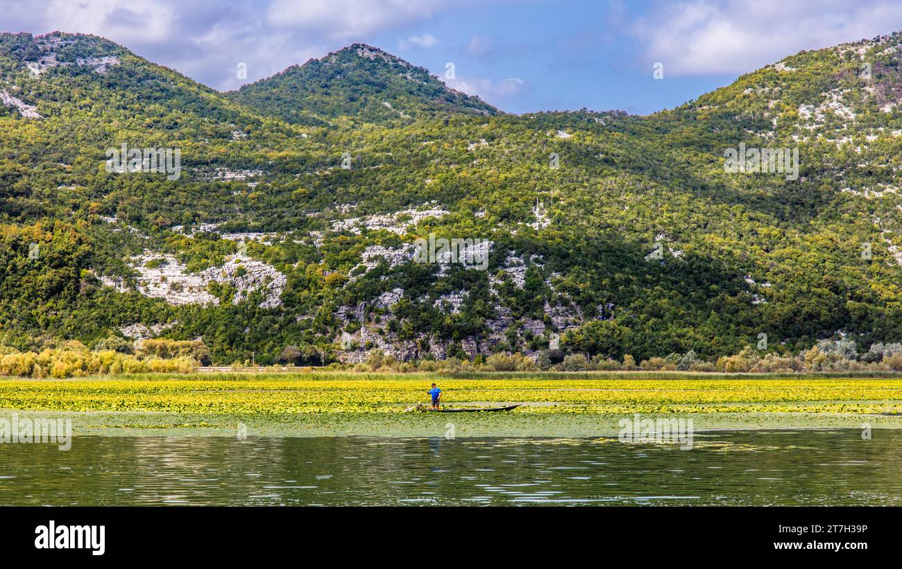 Natural paradise and national park Lake Scutari, the largest lake on ...