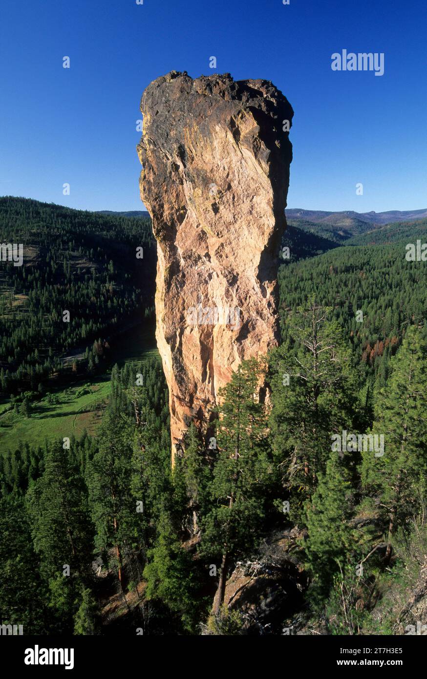 Steins Pillar from Steins Pillar Trail, Ochoco National Forest, Oregon ...