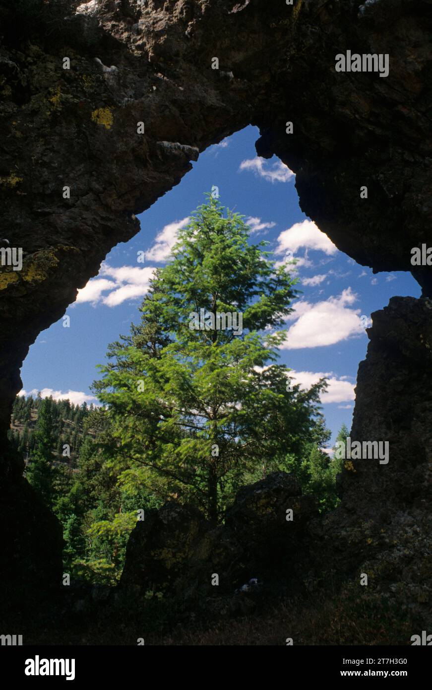 Arch Rock, Malheur National Forest, Oregon Stock Photo - Alamy