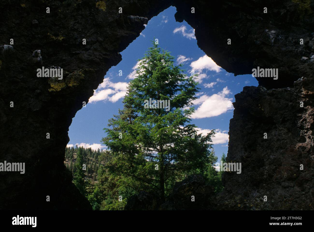 Arch Rock, Malheur National Forest, Oregon Stock Photo - Alamy
