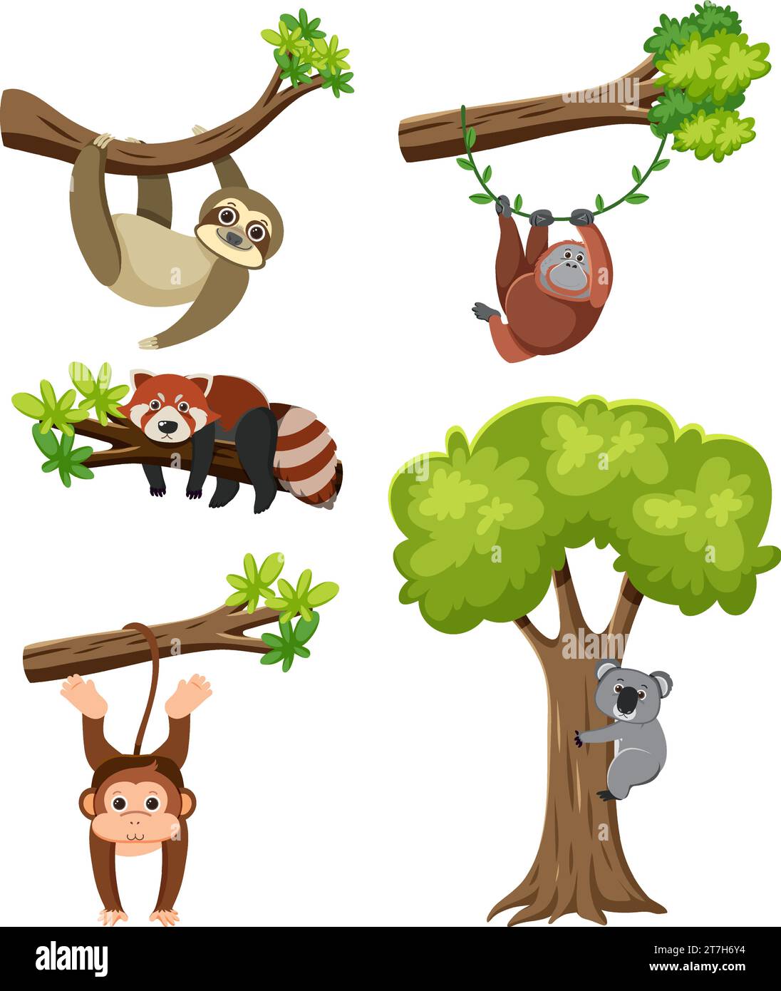 Jungle animals together Stock Vector Images - Alamy