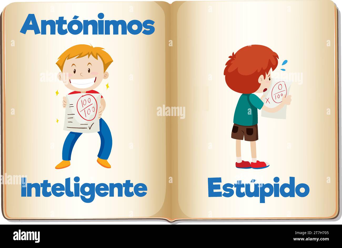 Illustrated word cards in Spanish for intelligent and stupid Stock ...