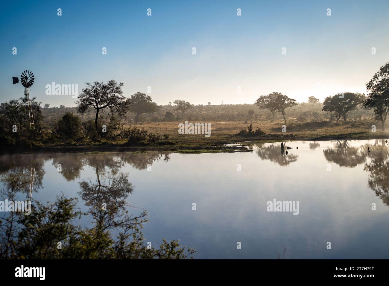 Savannah pond in the morning fog in Kruger National Park, South Africa ...