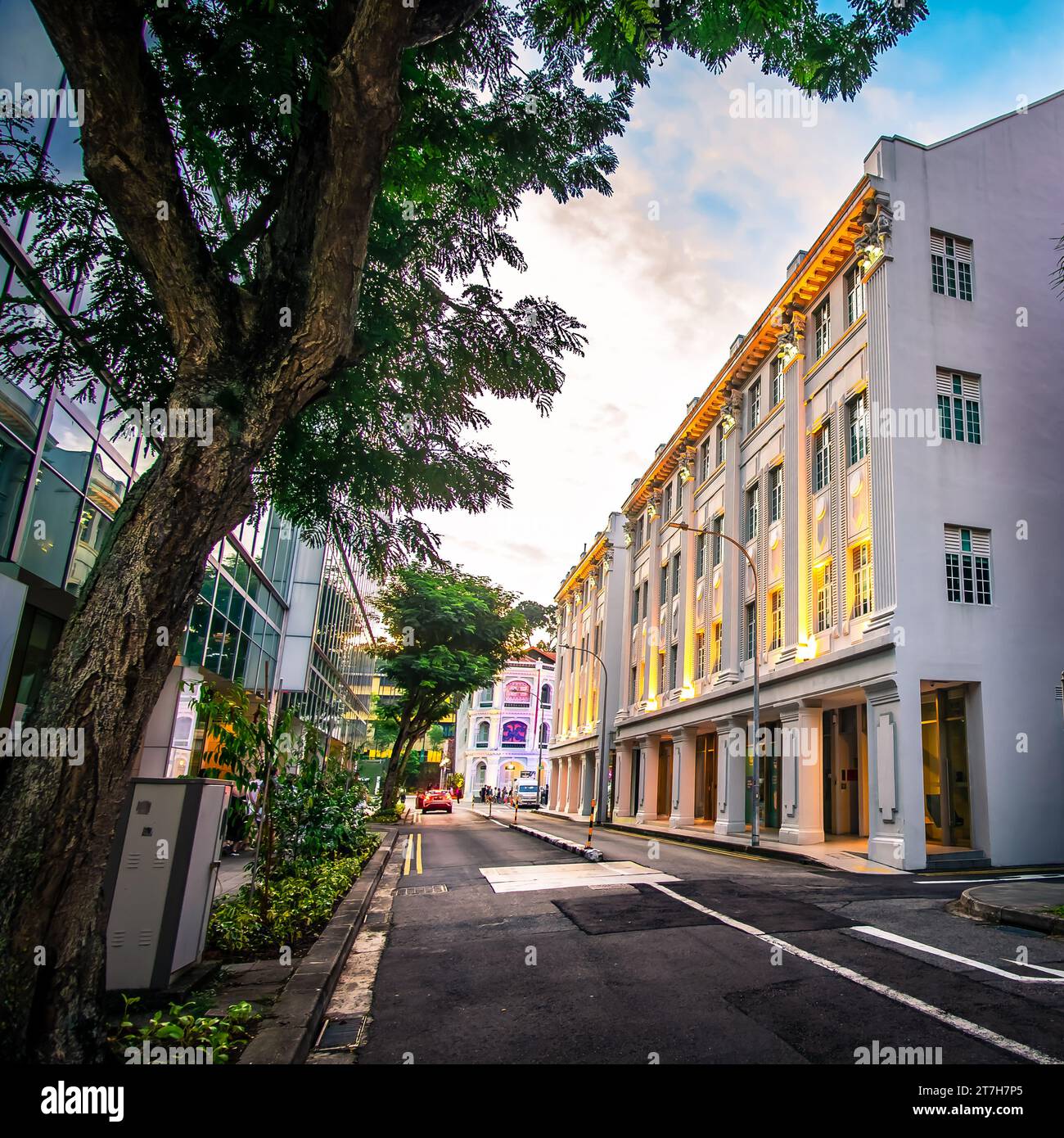 Loke yew hi-res stock photography and images - Alamy