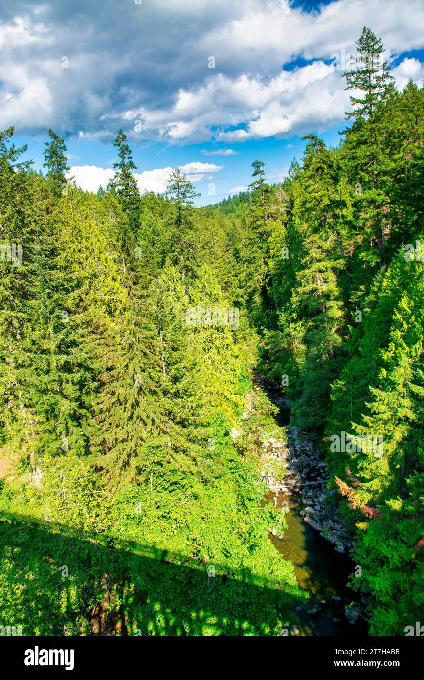 Amazing view of Kinsol Trestle Bridge in Vancouver Island - Canada ...