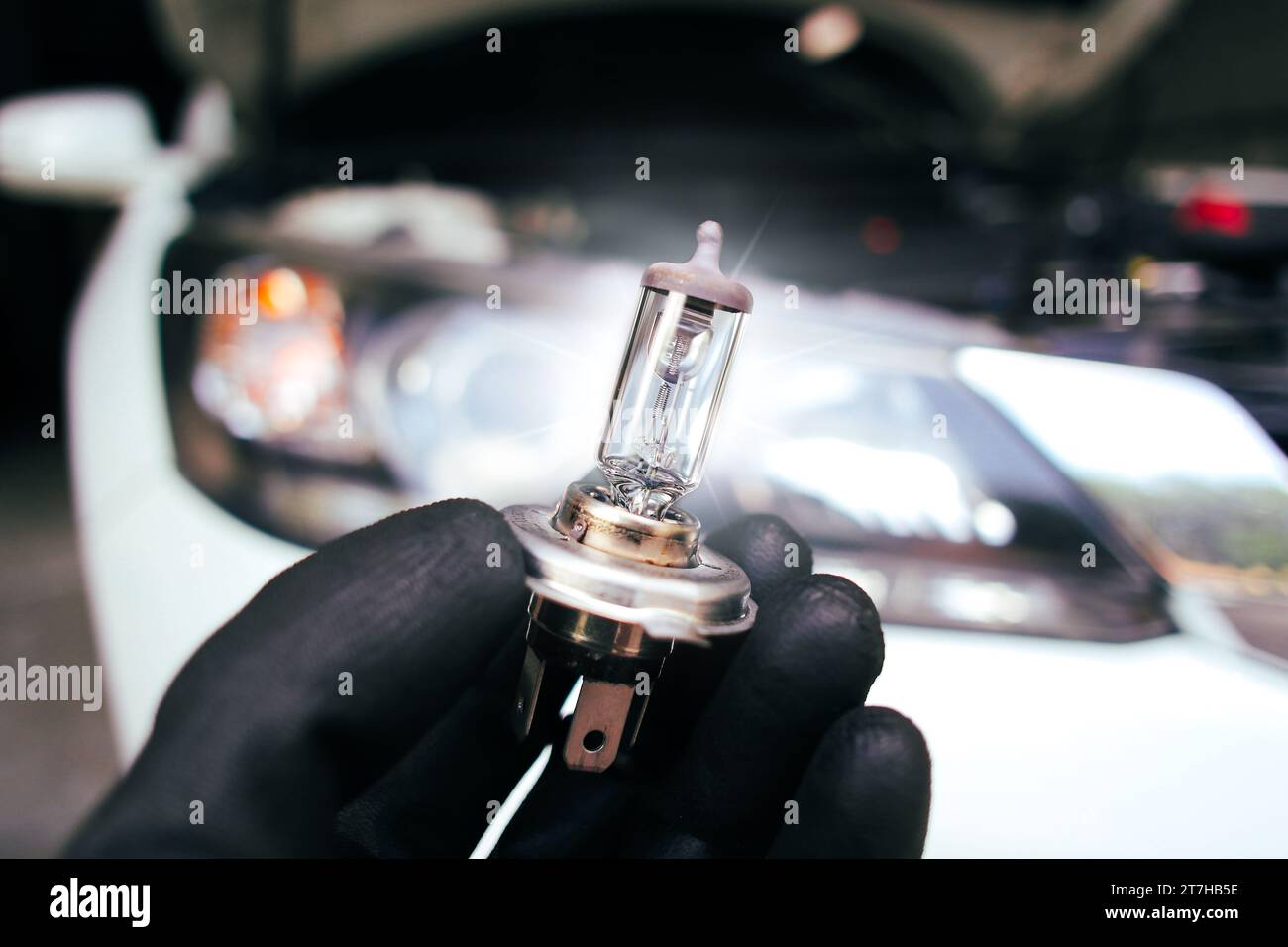 Car halogen bulb in auto mechanic hand with a car blurred background ...