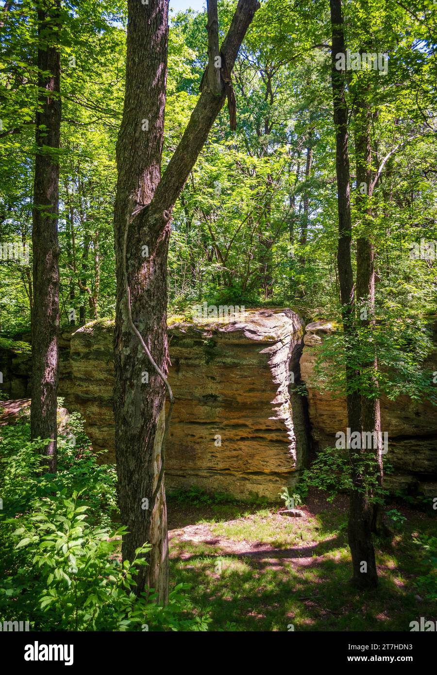Little Rock City in Rock City State Forest, New York State, USA Stock ...