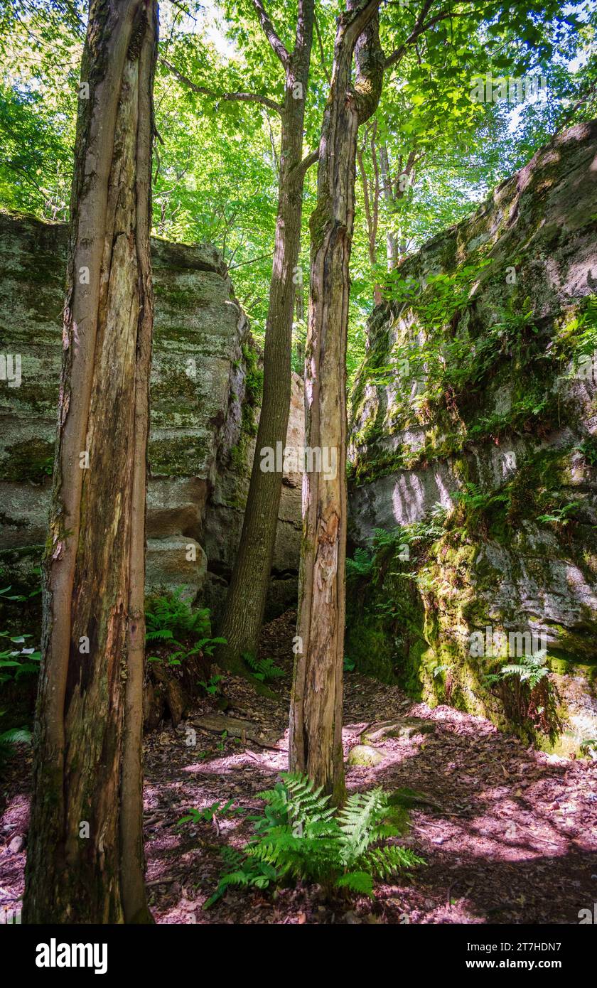 Little Rock City in Rock City State Forest, New York State, USA Stock ...