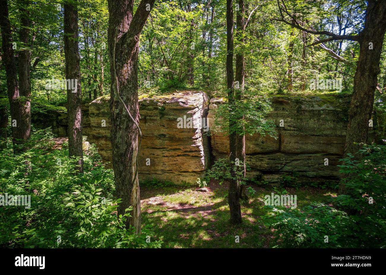 Little Rock City in Rock City State Forest, New York State, USA Stock ...