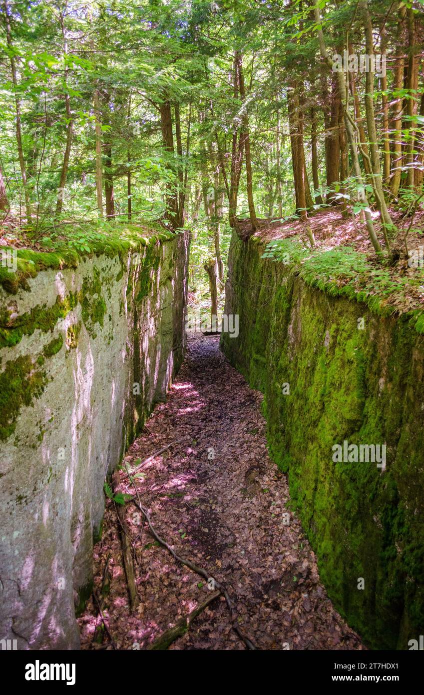 Little Rock City in Rock City State Forest, New York State, USA Stock ...
