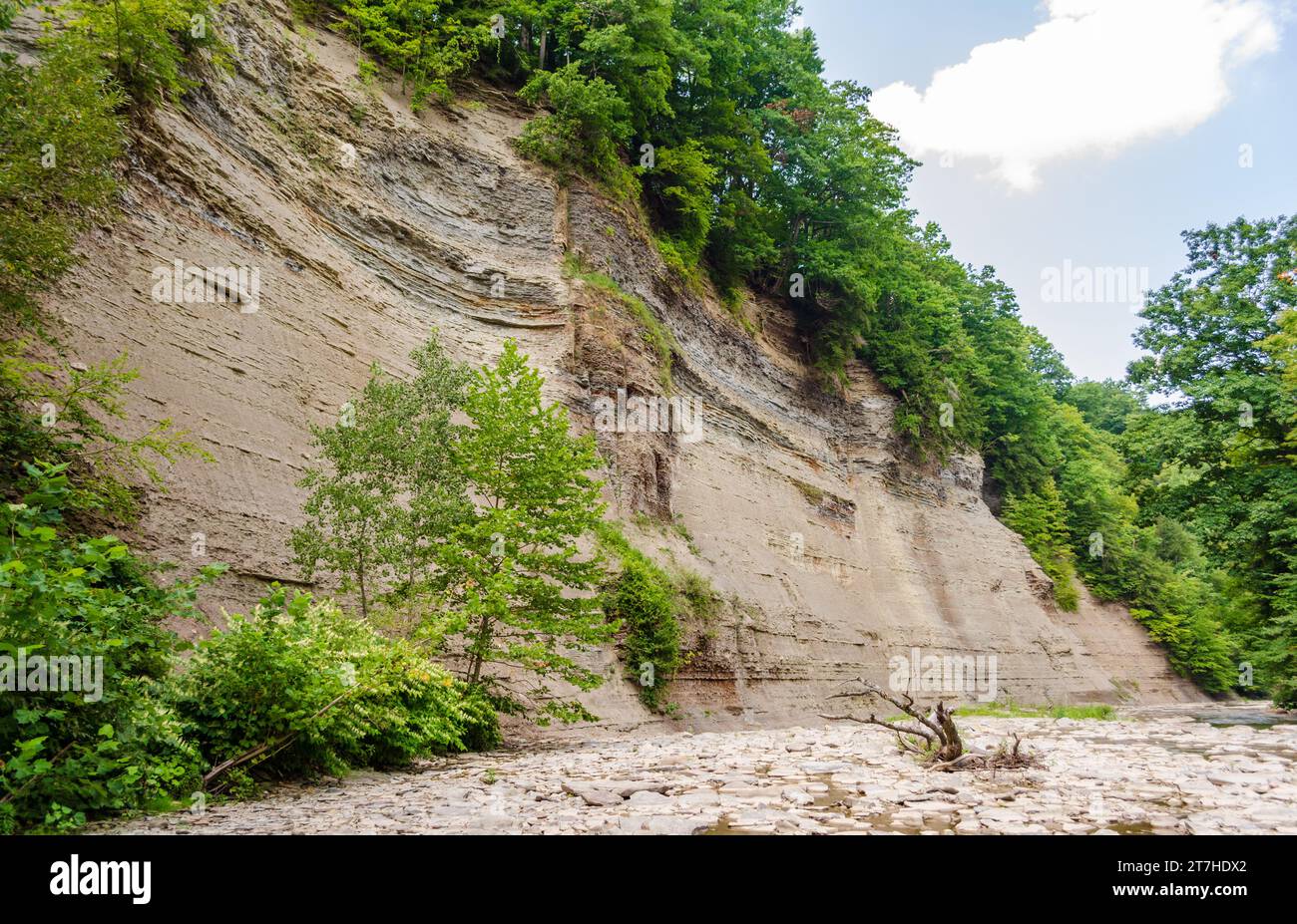 Zoar Valley Multiple Use Area and Nature Preserve in New York State ...