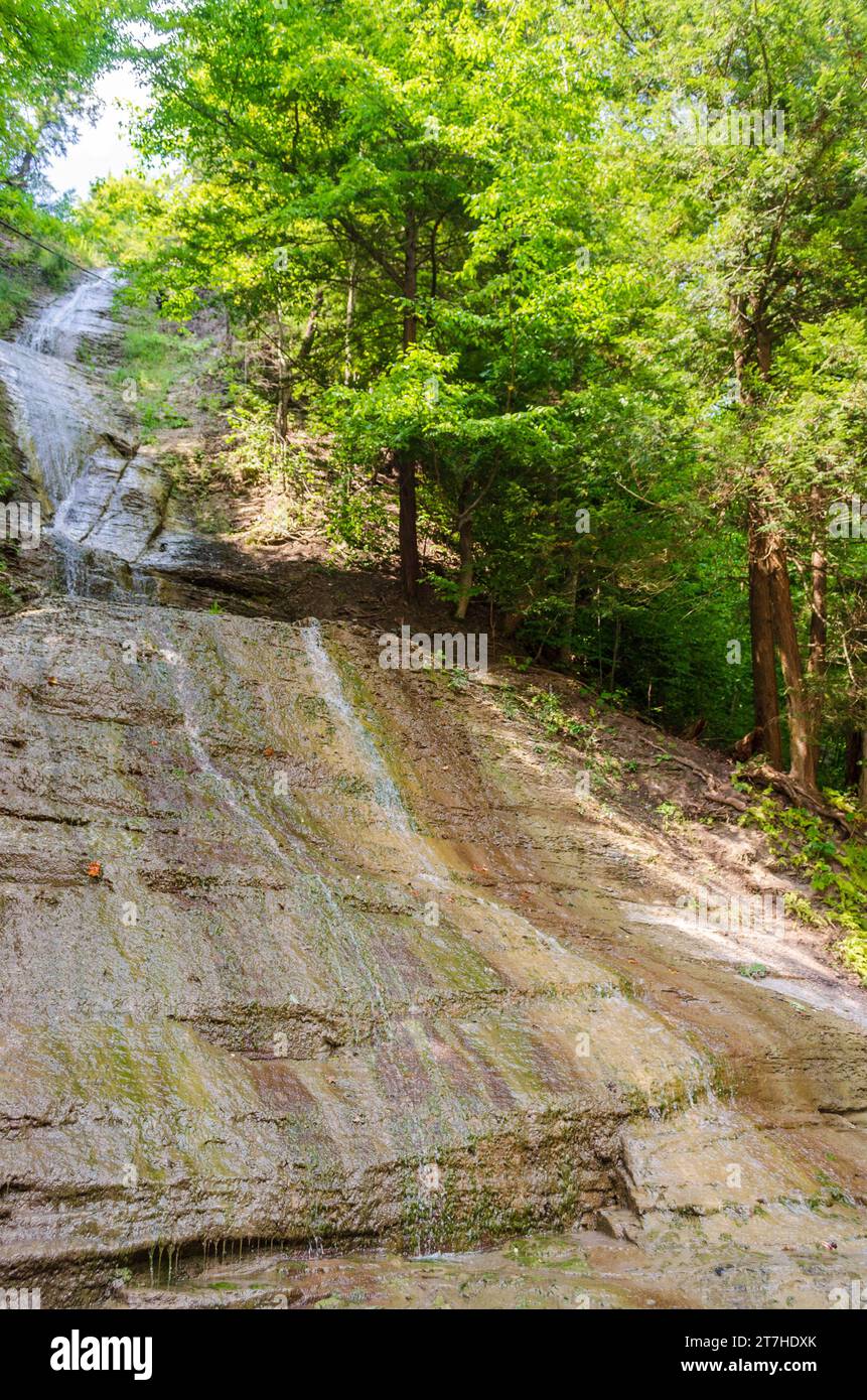 Zoar Valley Multiple Use Area and Nature Preserve in New York State ...