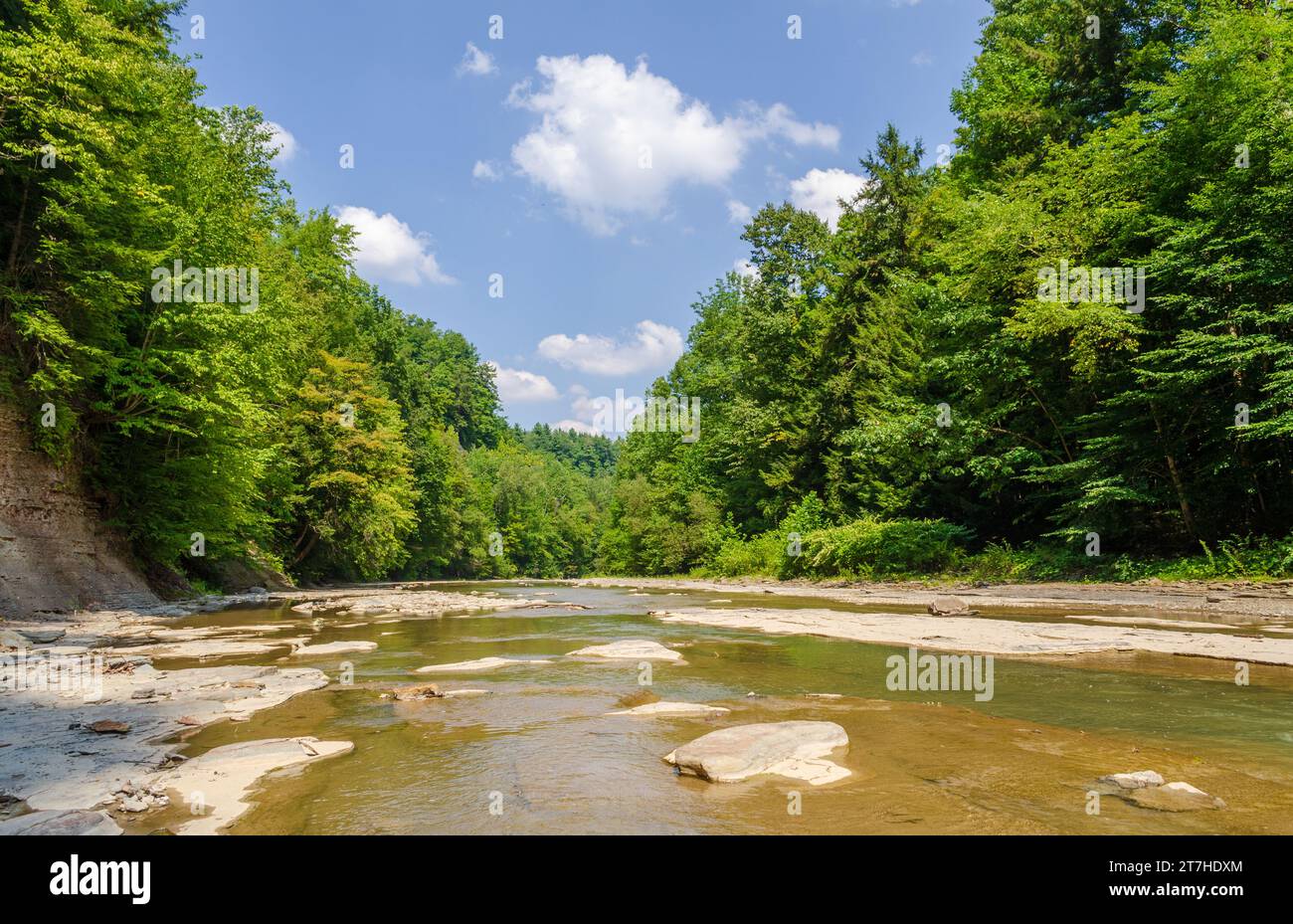 Zoar Valley Multiple Use Area and Nature Preserve in New York State ...
