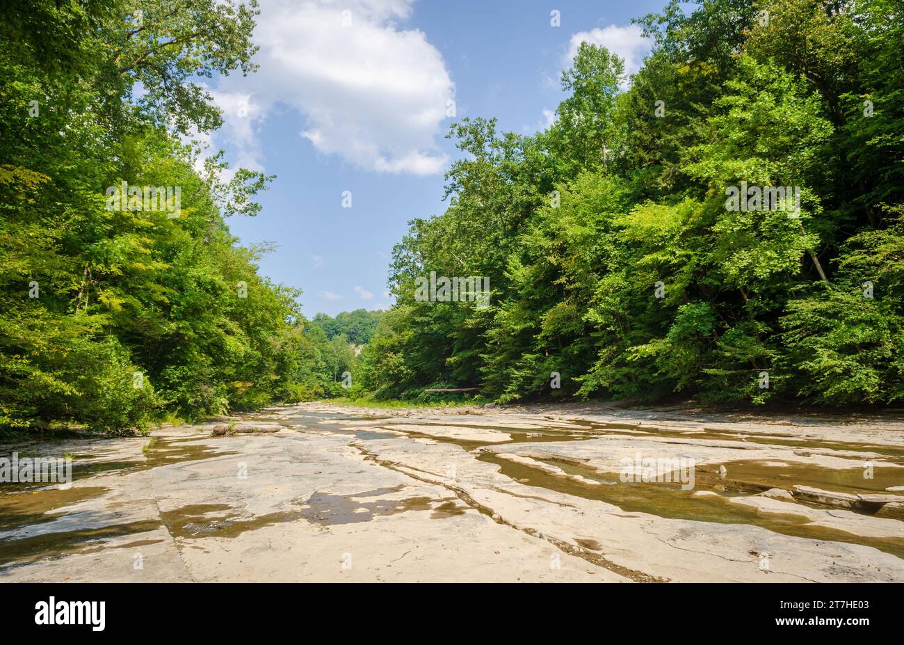 Zoar Valley Multiple Use Area and Nature Preserve in New York State ...