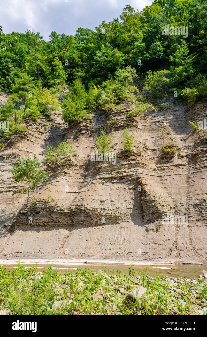 Zoar Valley Multiple Use Area and Nature Preserve in New York State ...