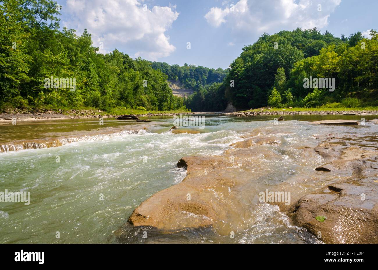Zoar Valley Multiple Use Area and Nature Preserve in New York State ...