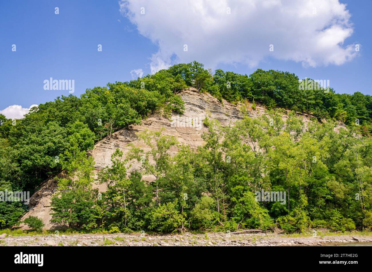 Zoar Valley Multiple Use Area and Nature Preserve in New York State ...