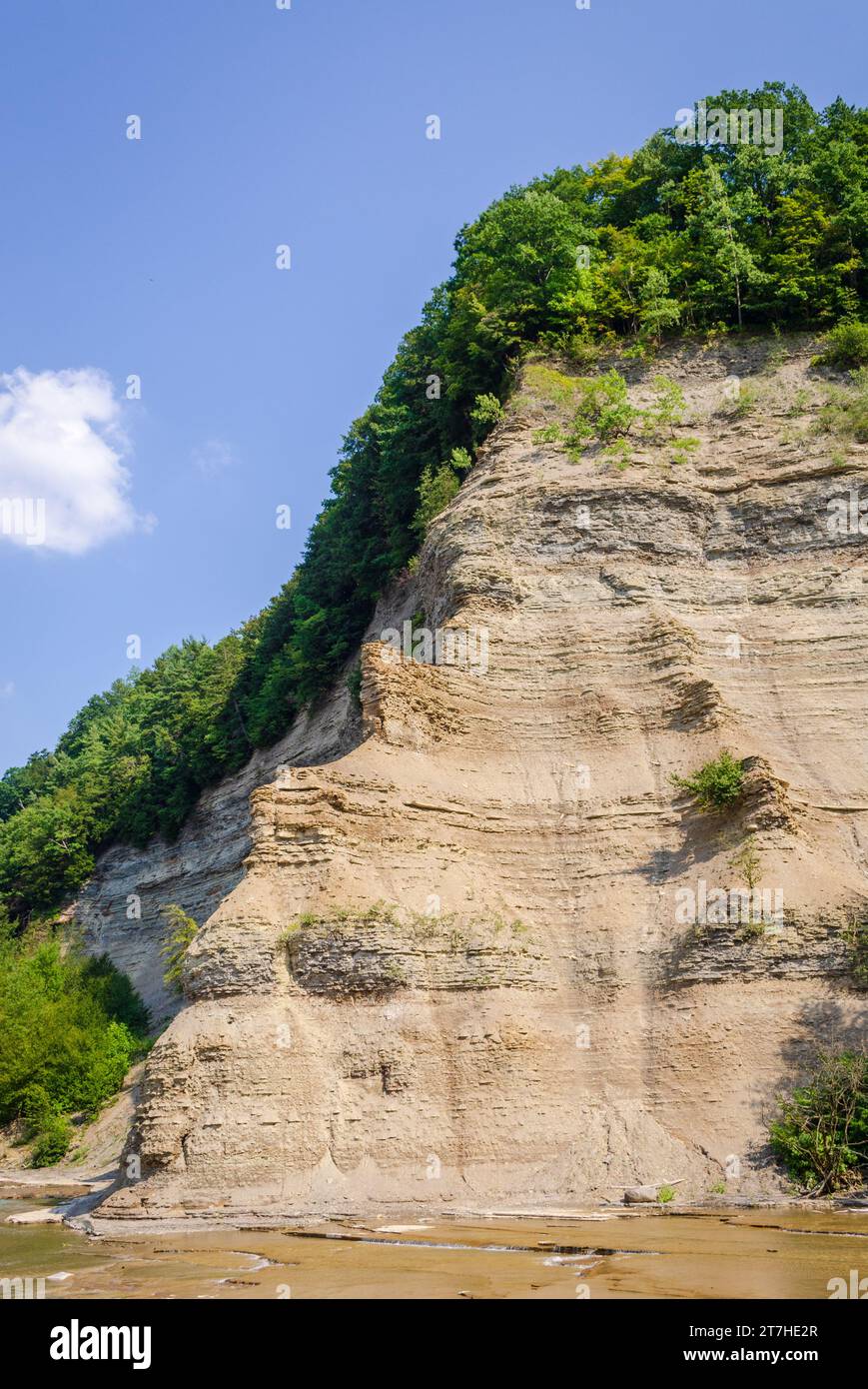 Zoar Valley Multiple Use Area and Nature Preserve in New York State ...