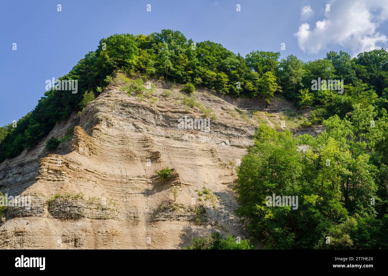 Zoar Valley Multiple Use Area and Nature Preserve in New York State ...