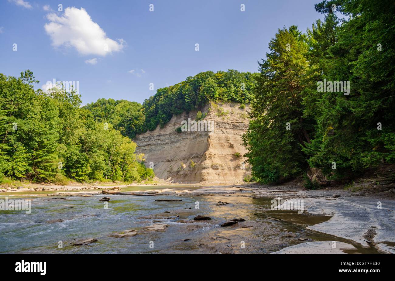 Zoar Valley Multiple Use Area and Nature Preserve in New York State ...