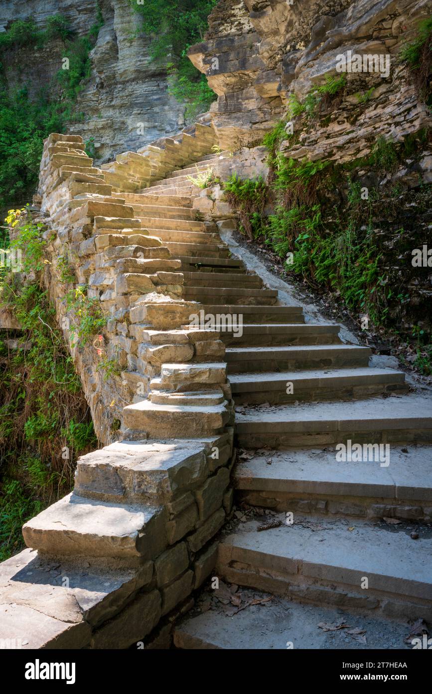Staircase at Robert H. Treman State Park in Upstate New York Stock ...