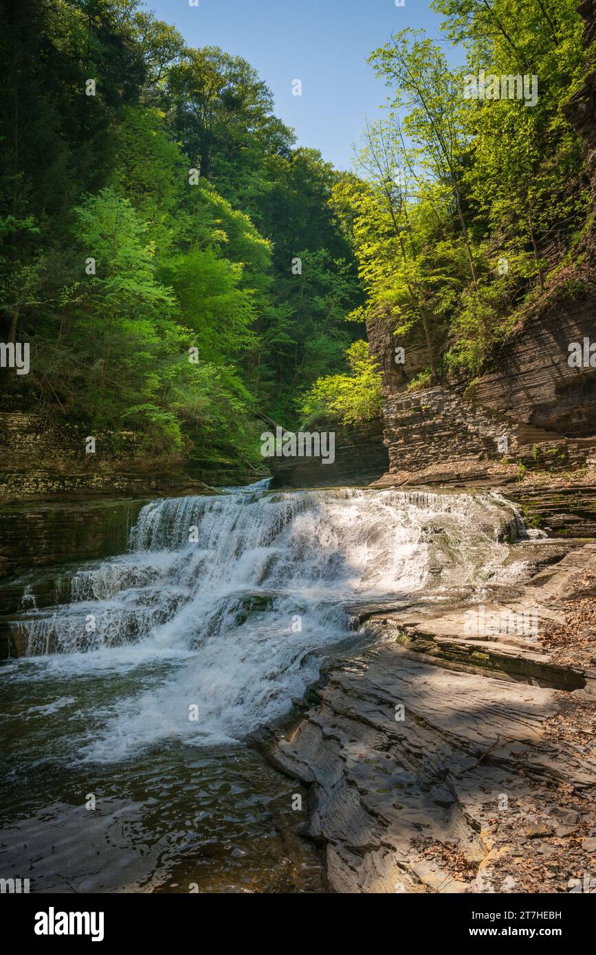 The Robert H. Treman State Park in Upstate New York Stock Photo - Alamy