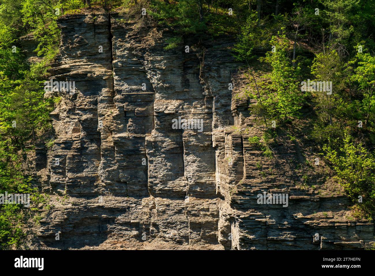 The Robert H. Treman State Park in Upstate New York Stock Photo - Alamy