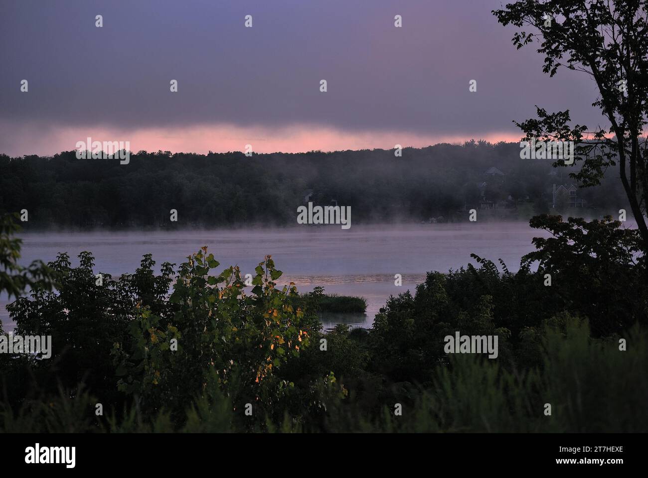 A unique sky blanketed with a blend of pink and purple hues, with dark ...