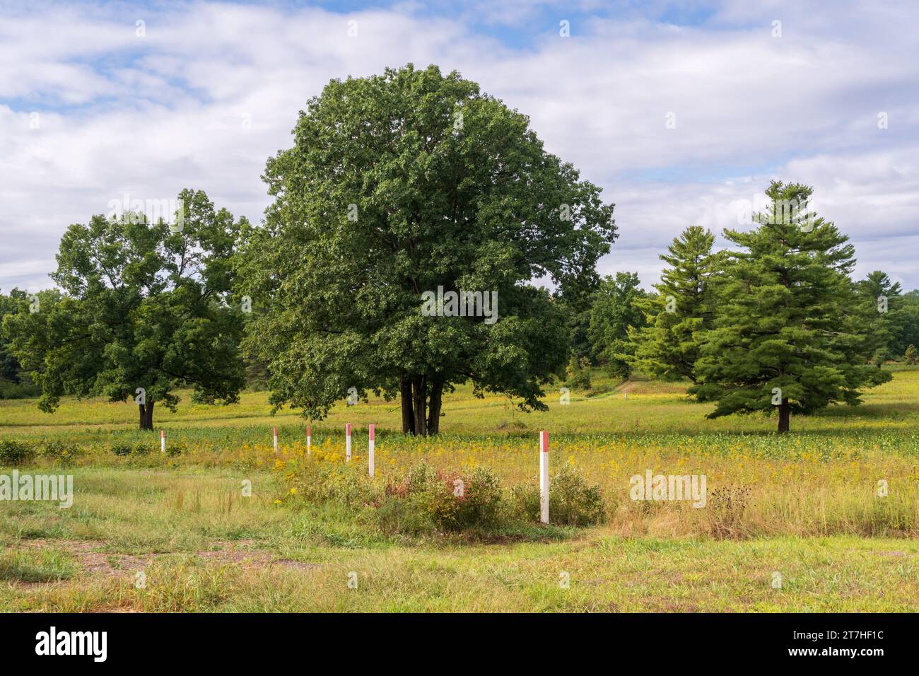 The Landscape of Saratoga National Historical Site in Upstate New York ...