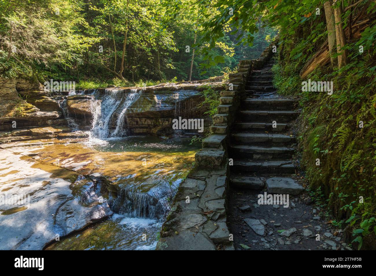 A Waterfall at Robert H. Treman State Park in Upstate New York Stock ...