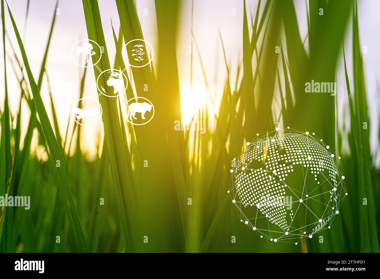 Ecosystem and preserve nature and sustainable concept, Forest travel ...