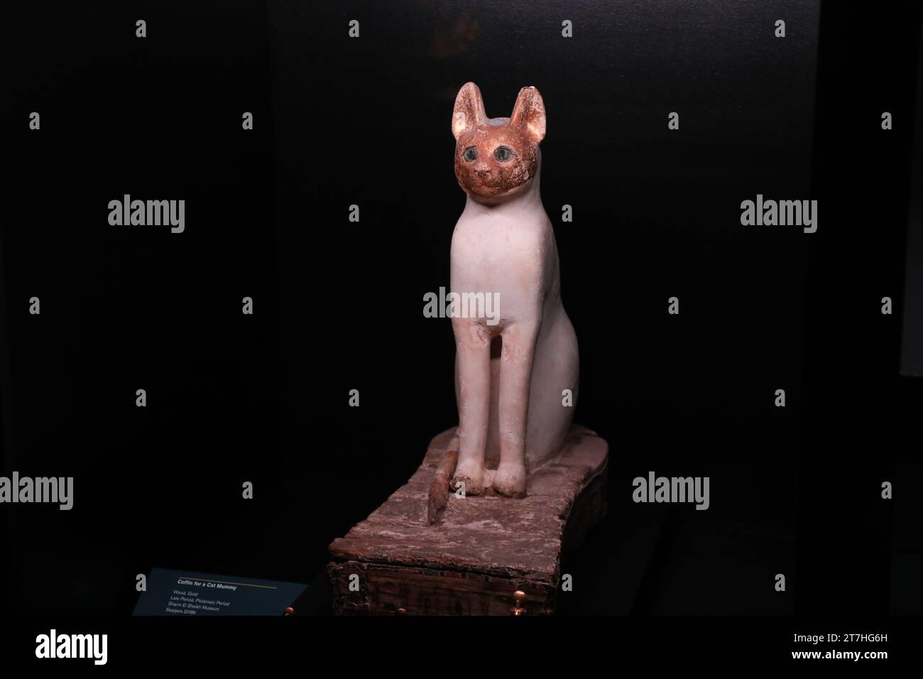 Sydney, Australia. 16th November 2023. Media preview of Ramses & the ...