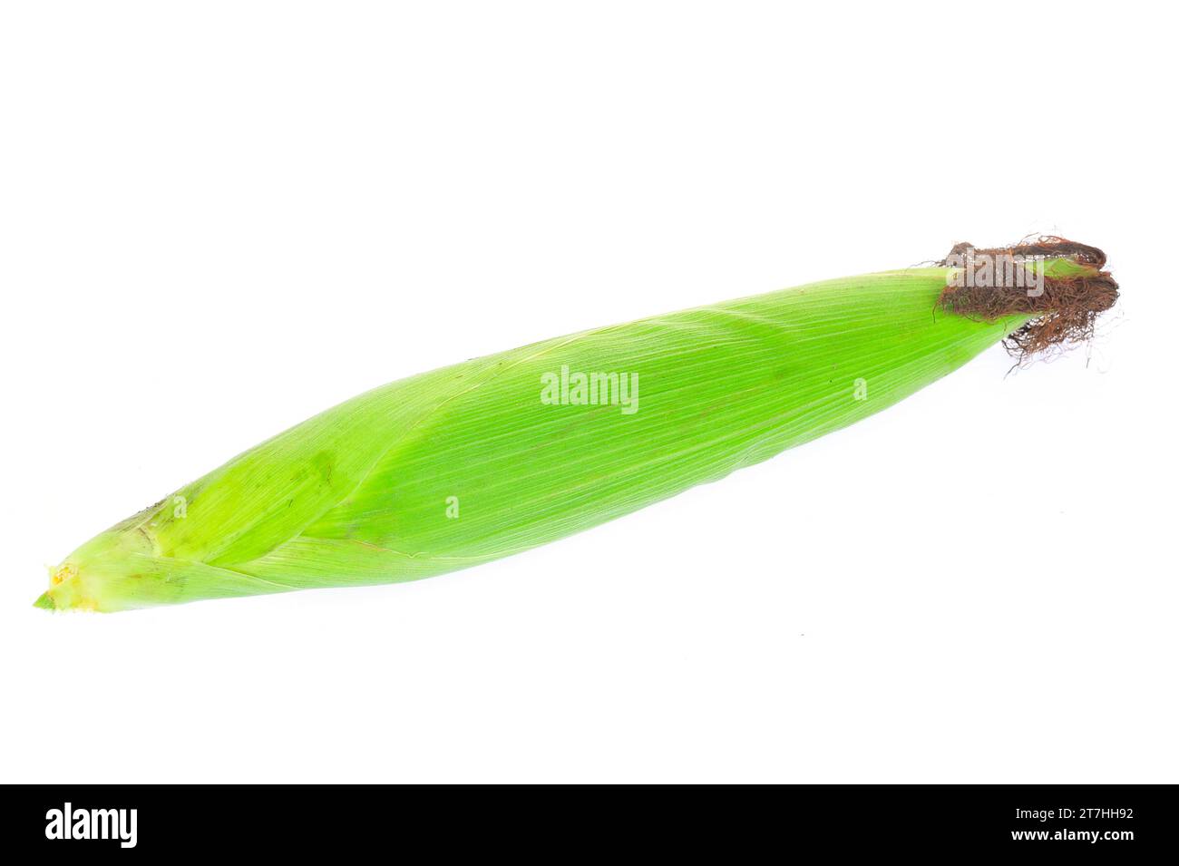 Black and white cob Cut Out Stock Images & Pictures - Alamy