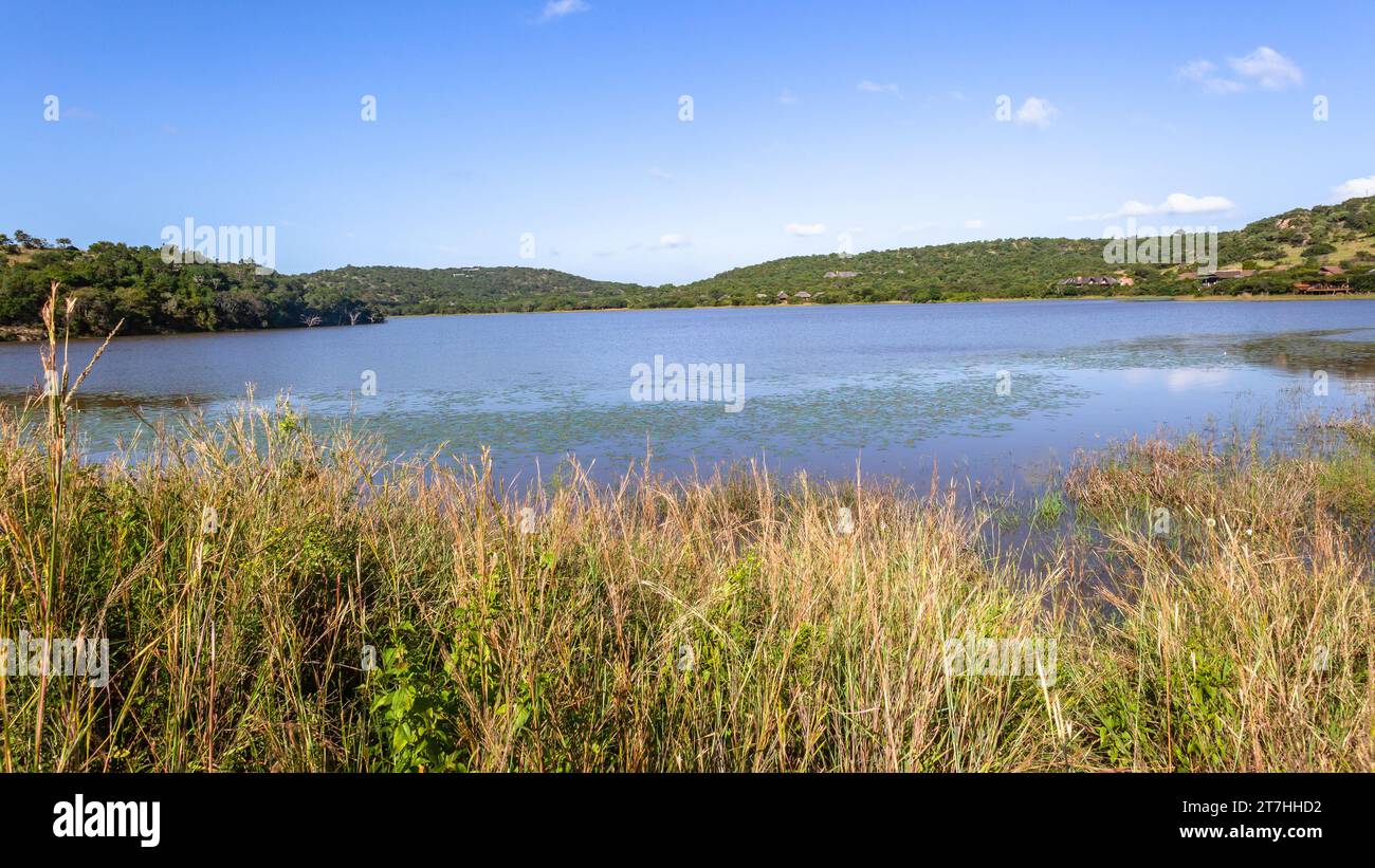 Wildlife wetland dam blue sky hills landscape habitat for hippo's ...