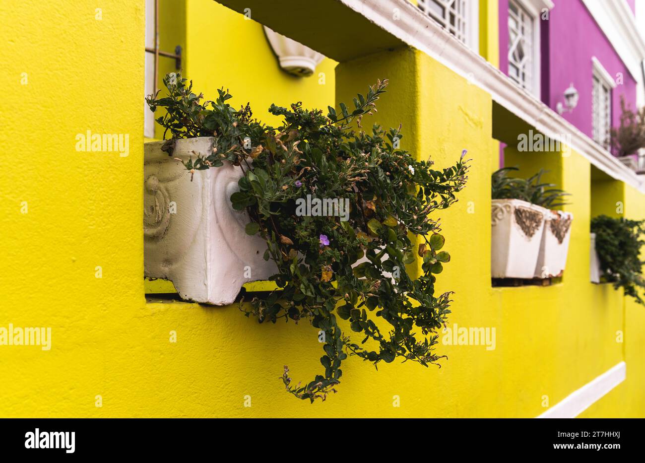 Bo Kaap, district in Cape Town, South Africa Stock Photo - Alamy