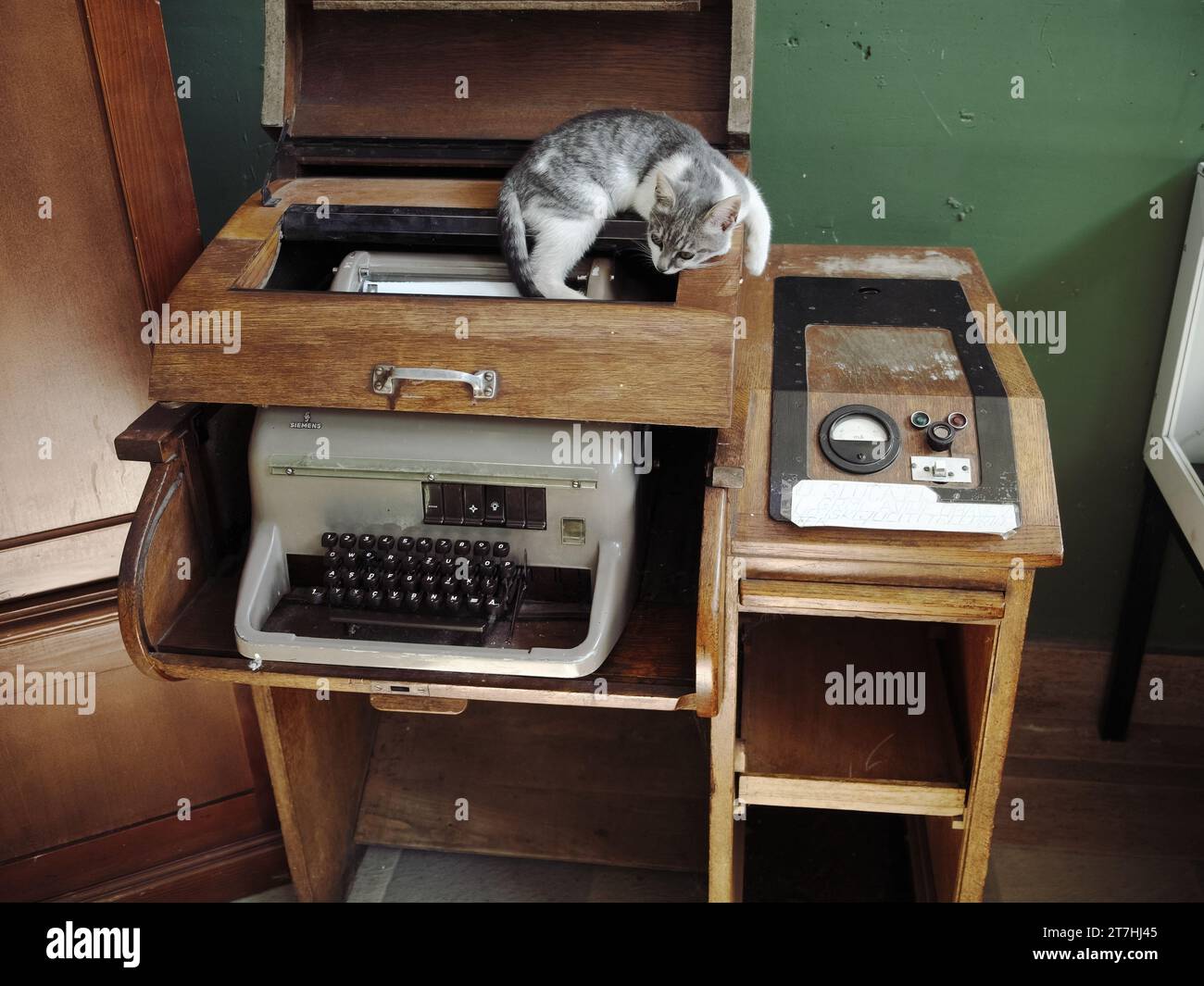 Siemens Fernschreiber T100 teleprinter with wooden cabinet and cat lying on top, Mokra Gora ...