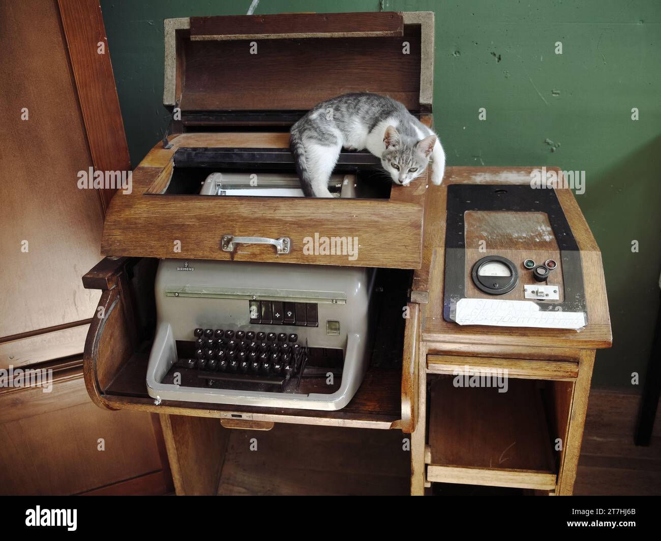 Siemens Fernschreiber T100 teleprinter with wooden cabinet and cat ...