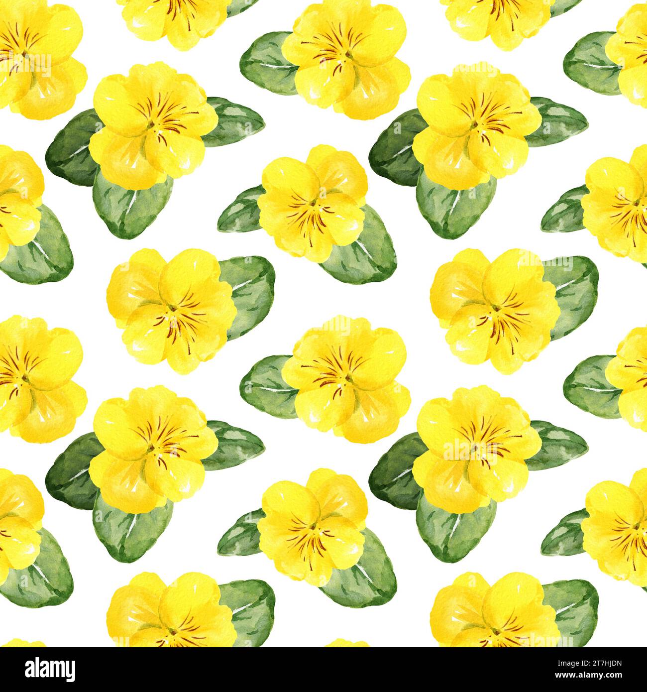 watercolor seamless pattern with hand drawn pansy flowers and buds and ...