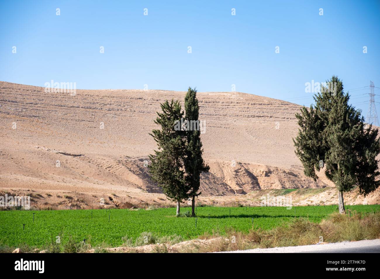 Effect on nature and increase desertification on agriculture due to ...