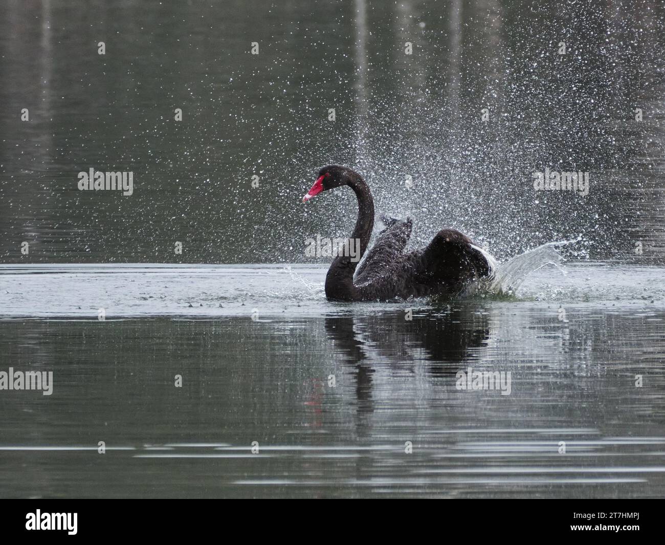 Long splash hi-res stock photography and images - Alamy