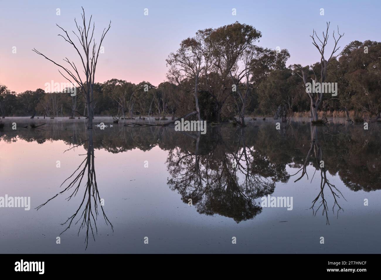 Feel the Serenity Stock Photo - Alamy